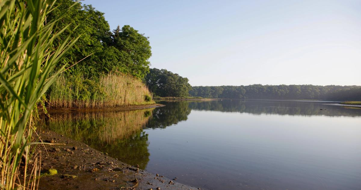 Preserves Along Goldsmith's Inlet: Malduties, Peconic Bluffs and ...