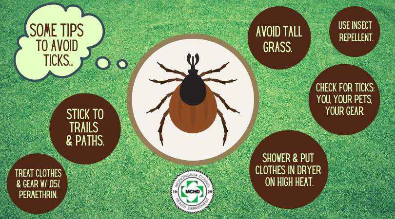 Monongalia County Sees Yes An Uptick In Ticks And Lyme Disease