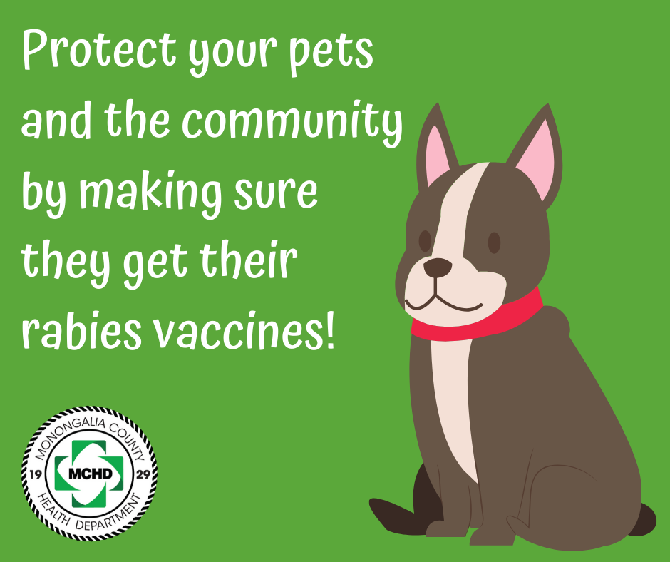 Don't let your guard down against rabies | Monongalia County Health ...