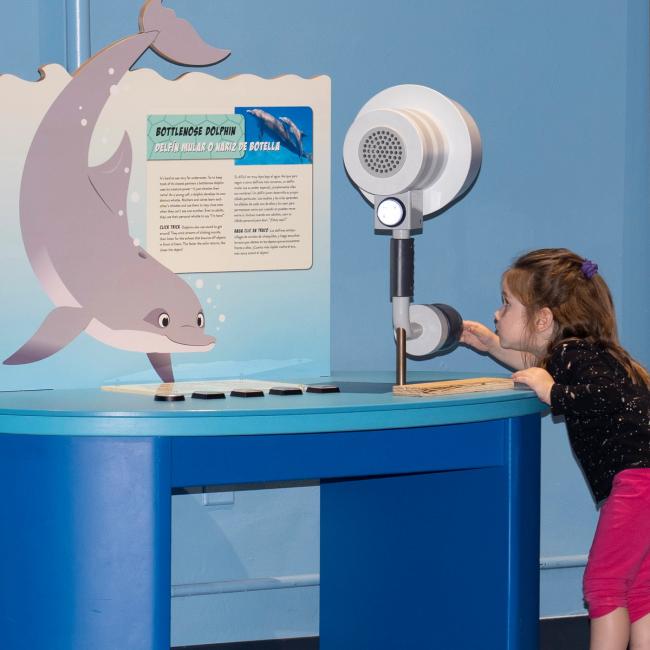 Wild Kratts: Ocean Adventure! | National Children’s Museum