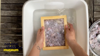 STEAMwork Nature Spotlight: Make Your Own Paper