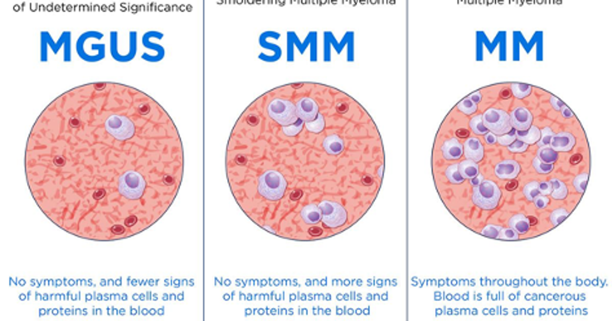 Multiple Myeloma 101: Understanding Genetic Diversity and Emerging ...