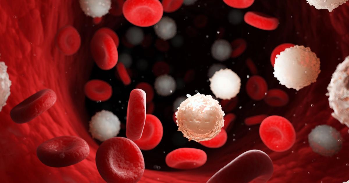 What Are Blood Cancers and How Do We Beat Them? | Mission Bio