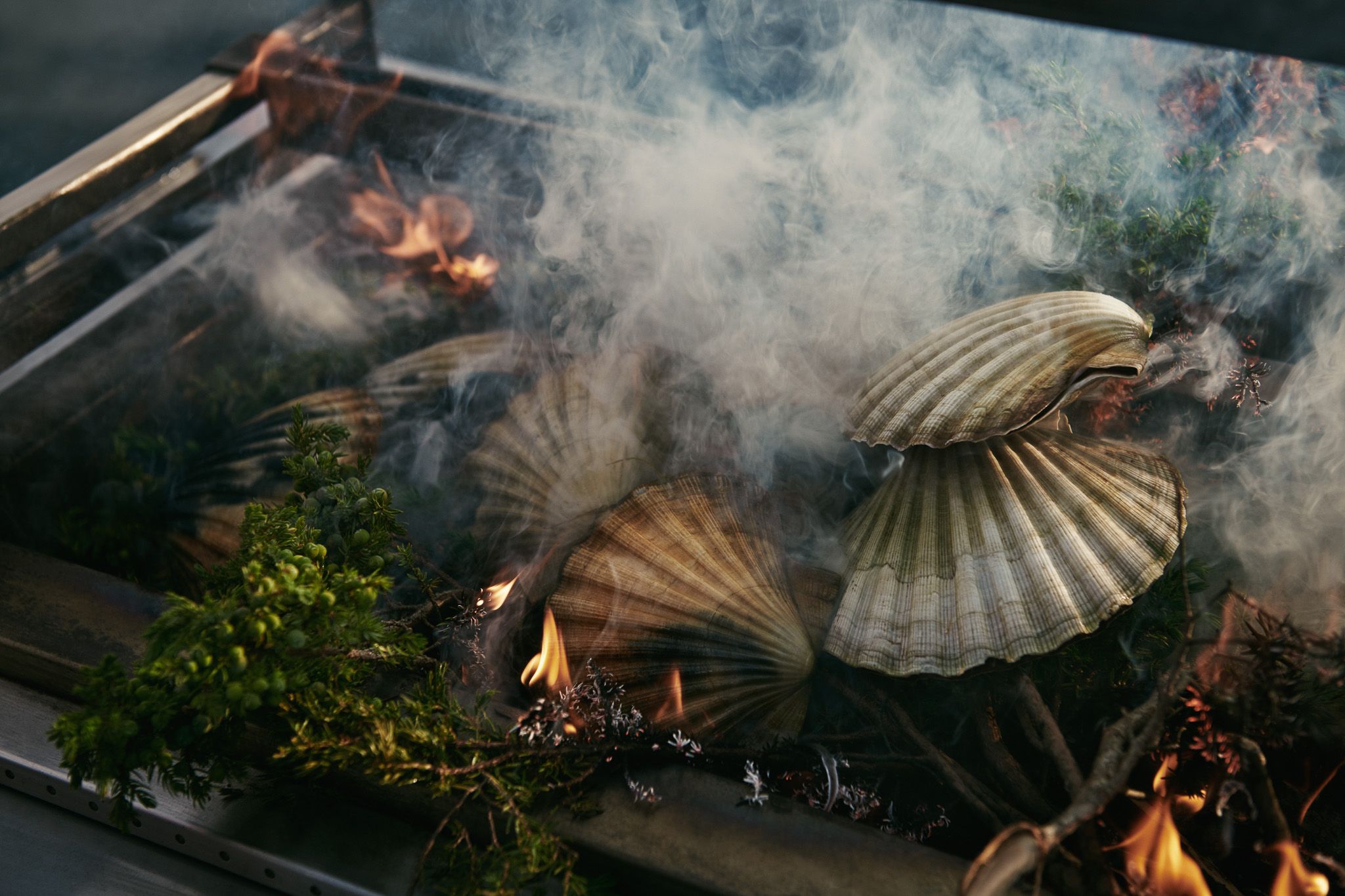 The Culinary Discovery Route