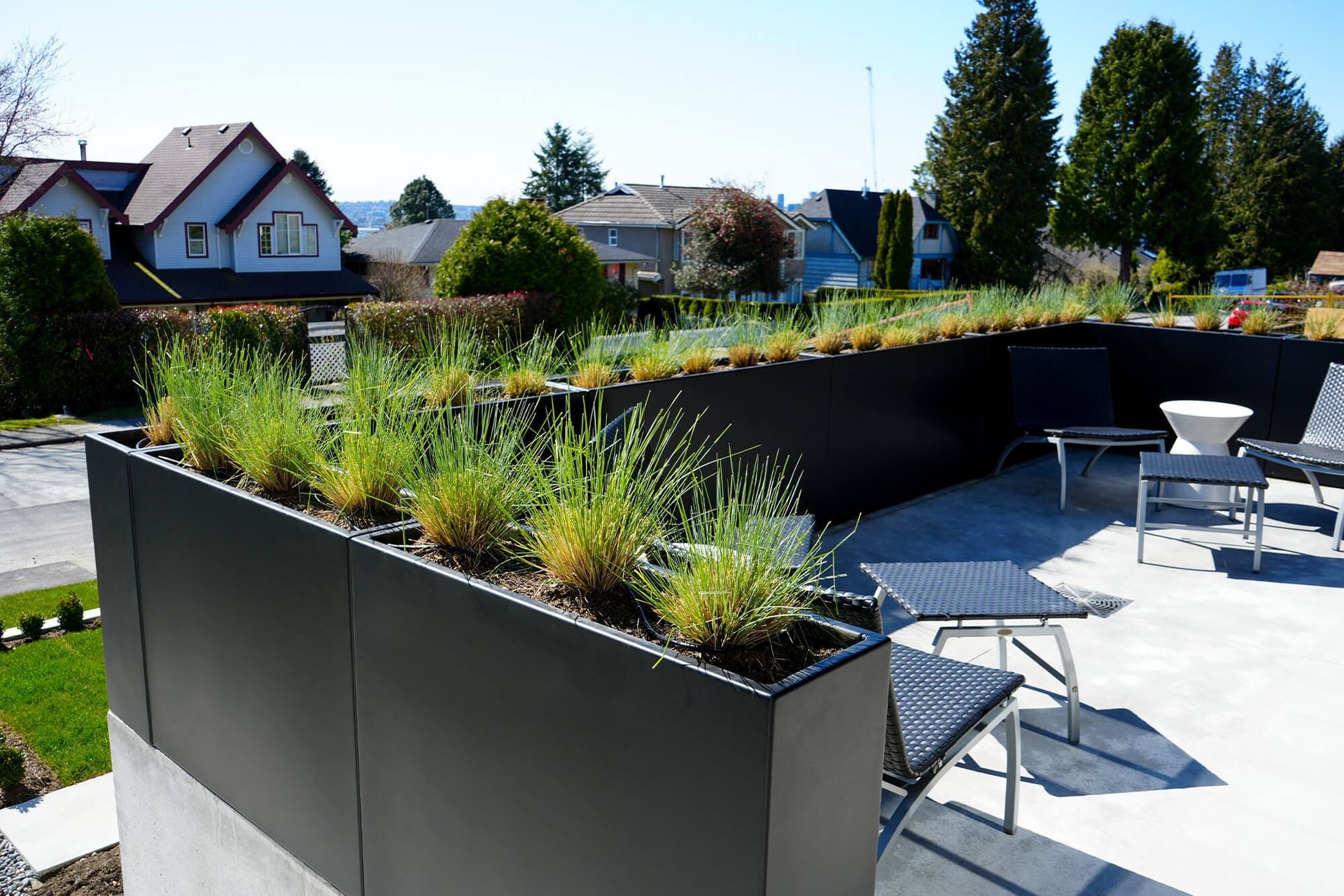 Divider | Green Theory