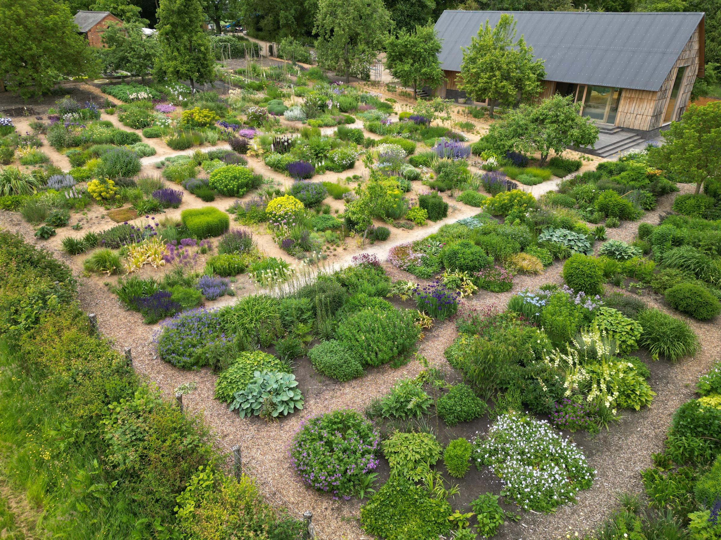 The Plant Library | The Serge Hill Project