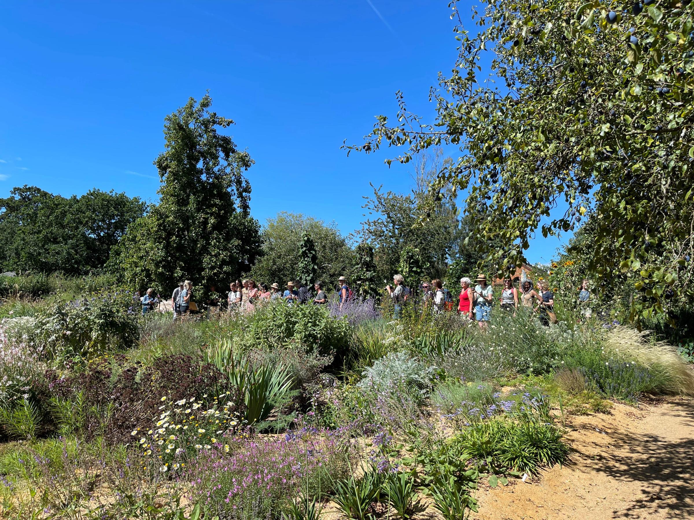 Visit | The Serge Hill Project