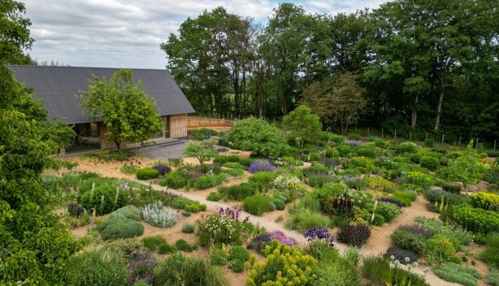 The Serge Hill Project