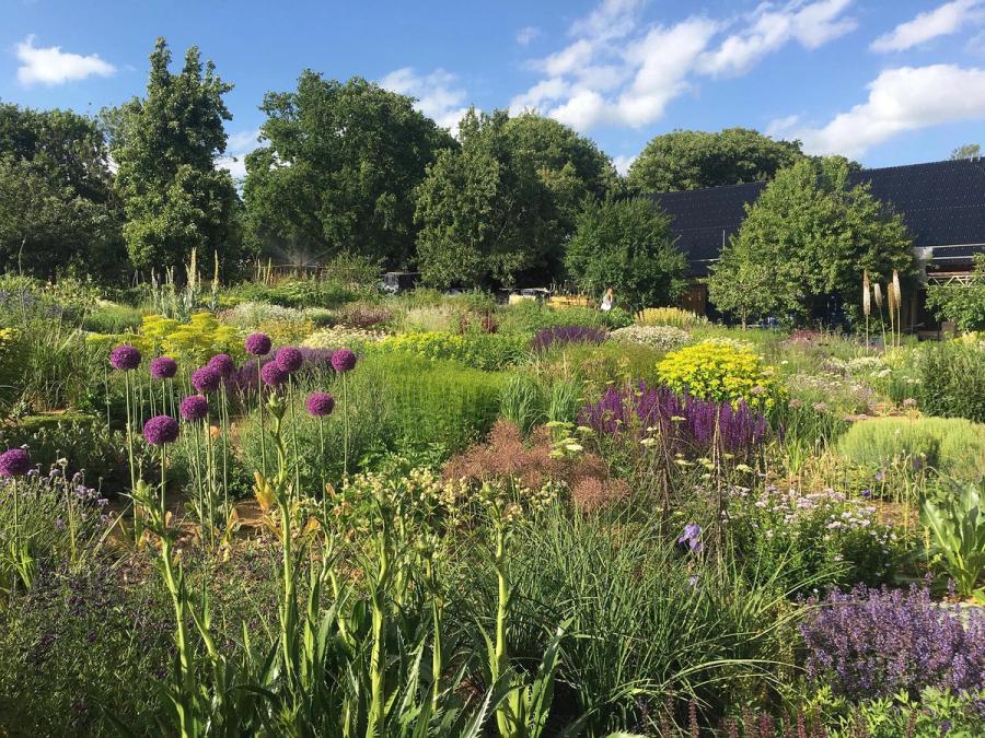 Visit | The Serge Hill Project