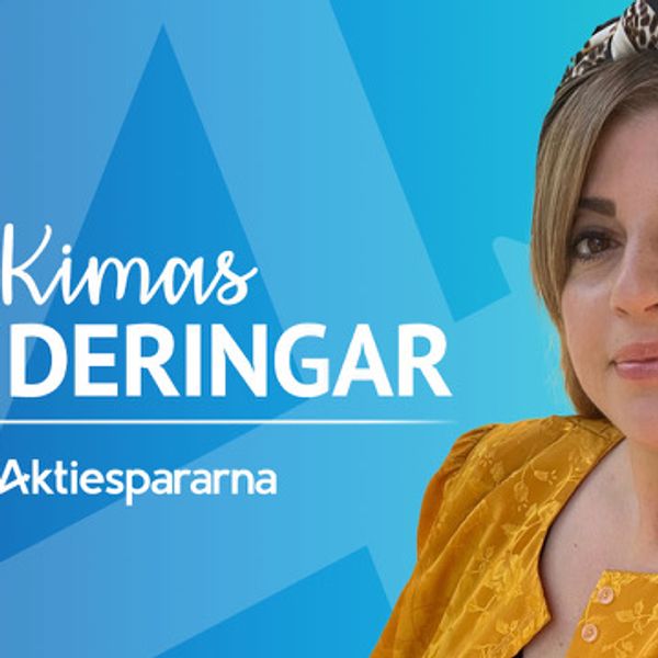 Splitta notan – om du vill bli pank mot din vilja | Aktiespararna