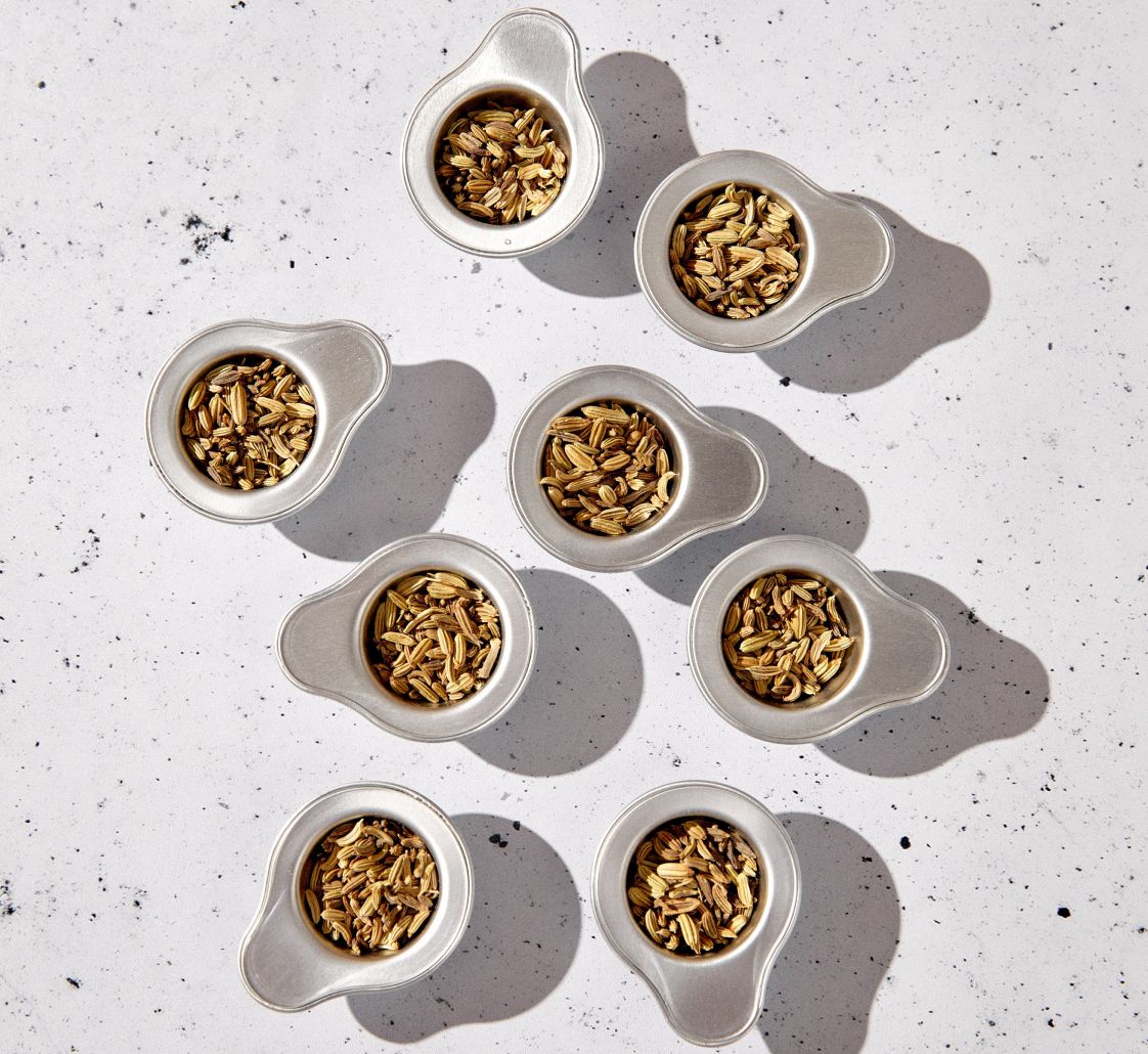 The Herb Garden | Occo Spices