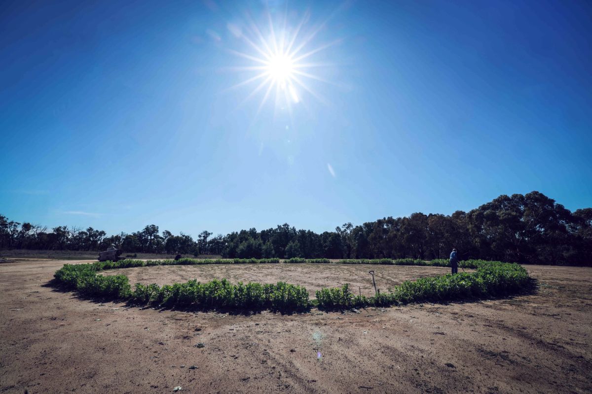 Visit – Wama Foundation