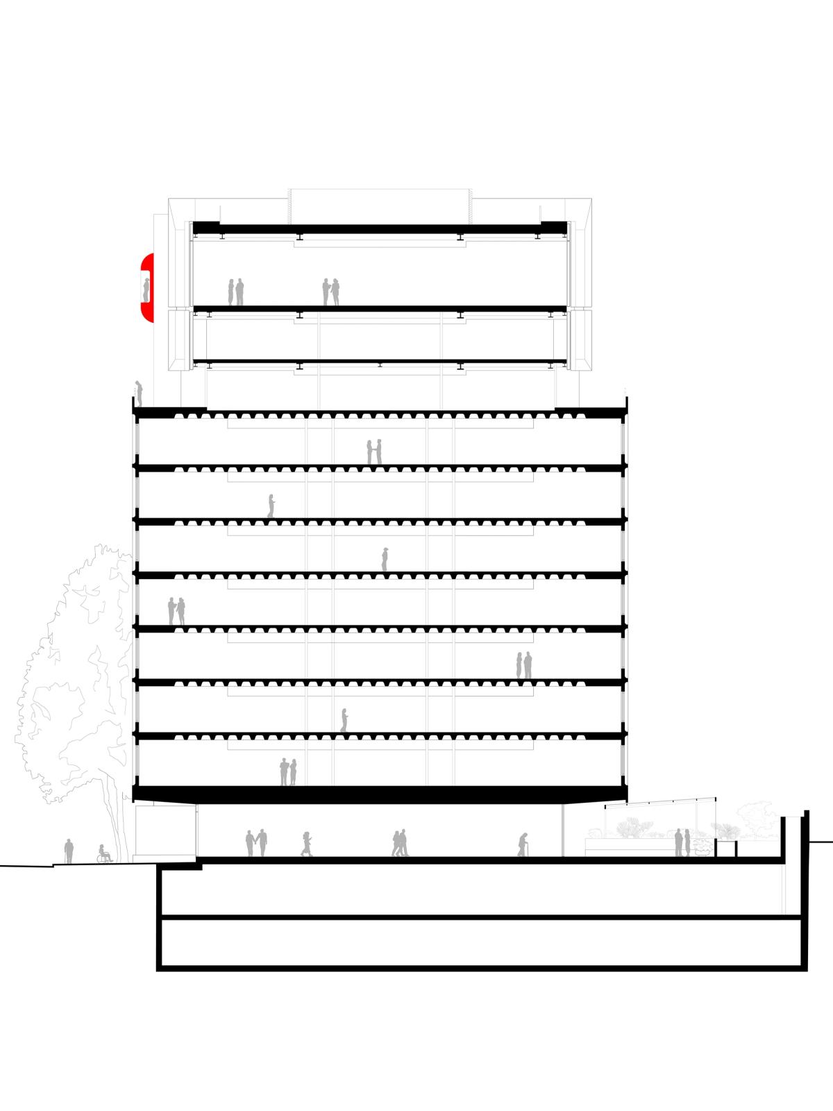 The Standard, London | Orms Architects – Adaptive Reuse and Hotel Design at Camden Town Hall Annexe