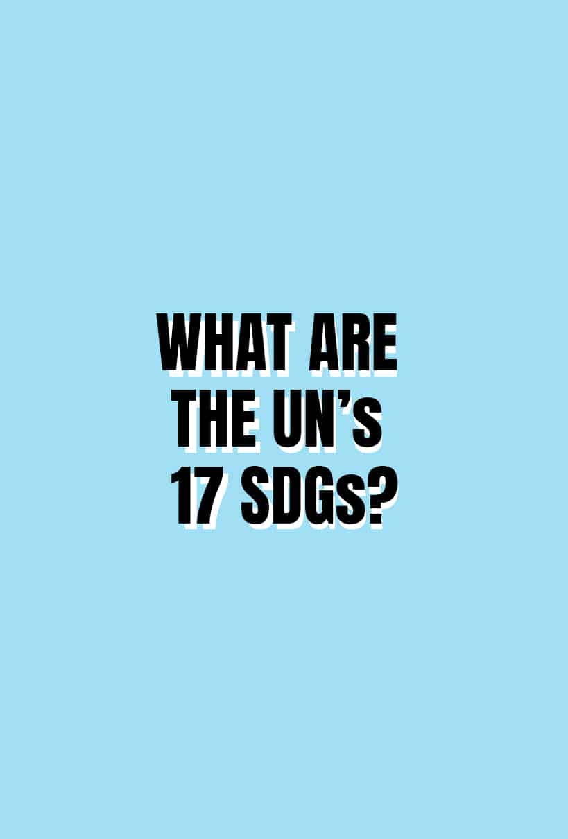 UN's 17 Sustainable Development Goals | Don't Panic London