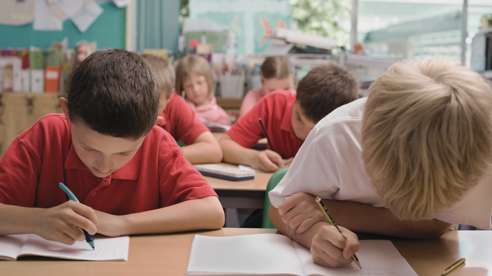 Benefits of Pupil Premium for primary literacy improvement | Bedrock ...