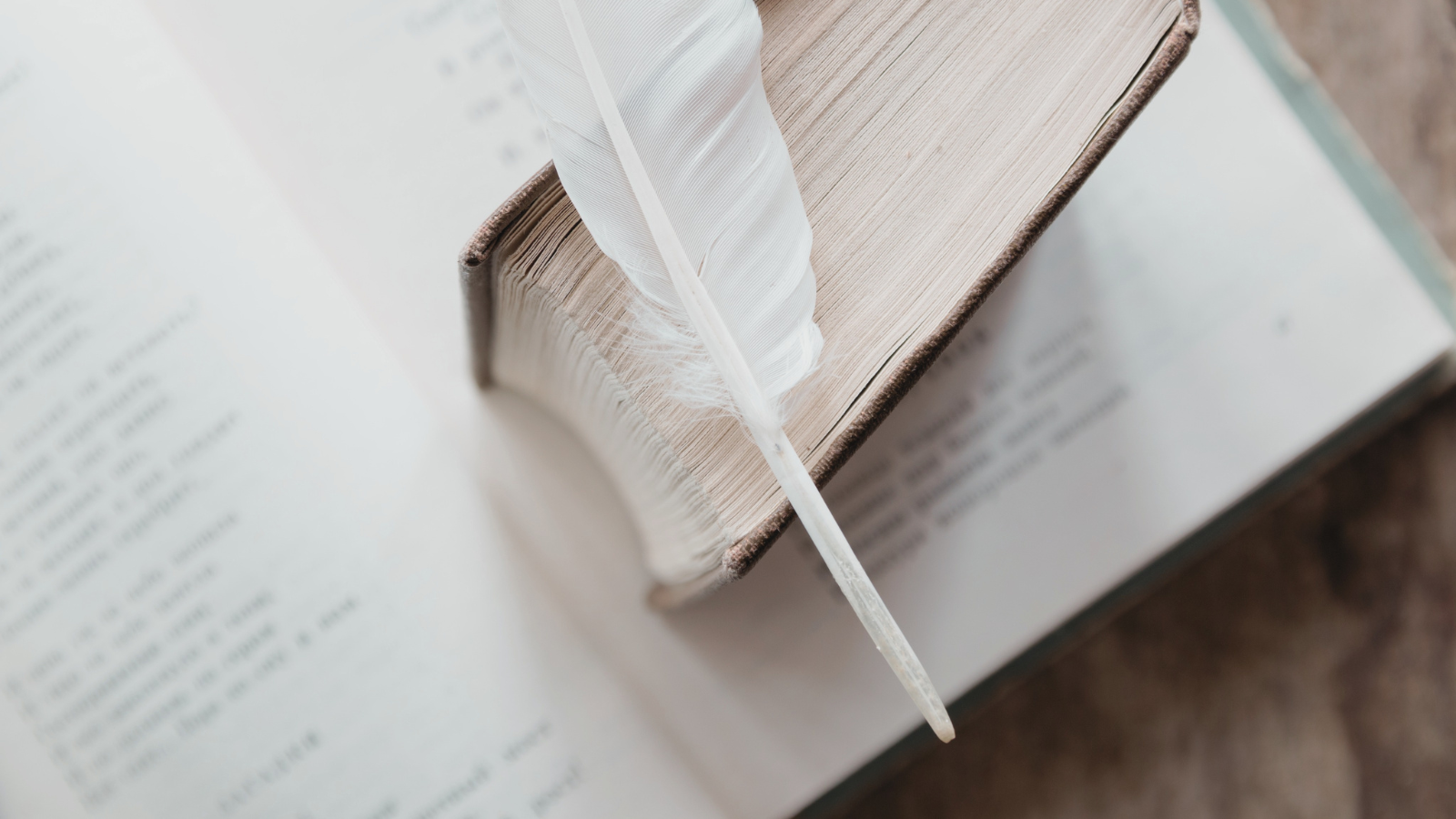 Aspects of poetry: poetic devices | Bedrock Learning