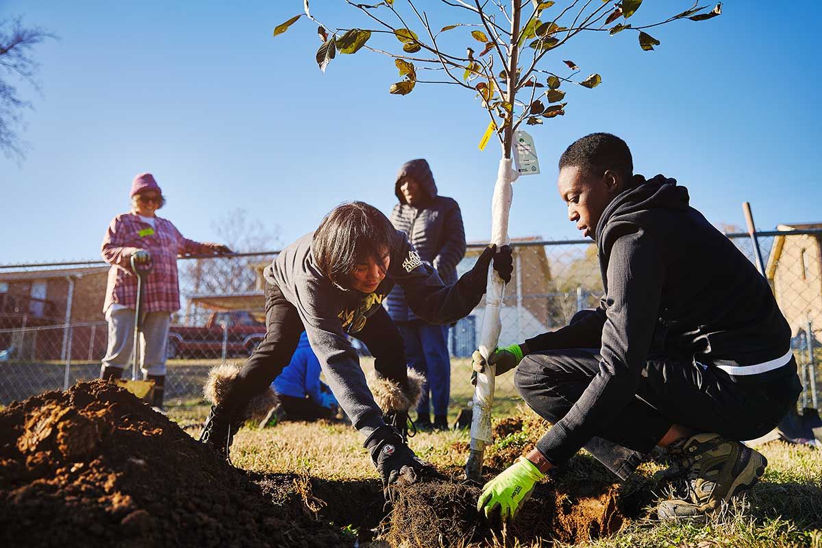 Arbor Day Foundation | Forest Crowdfunding Campaign