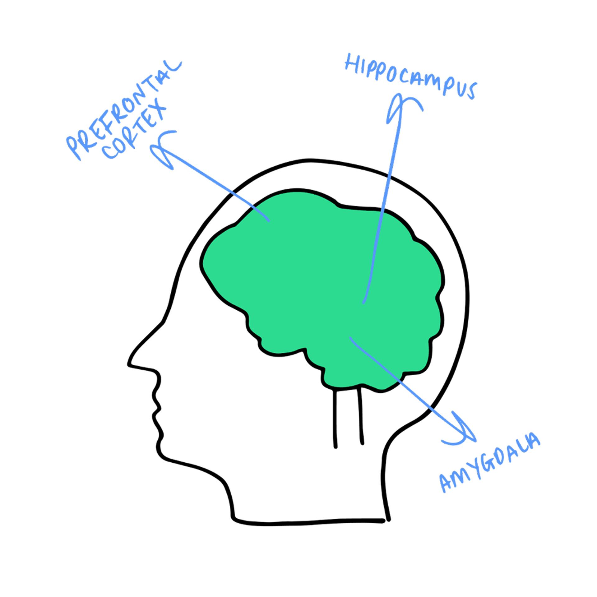 Lazy Discipline | The DO Lectures