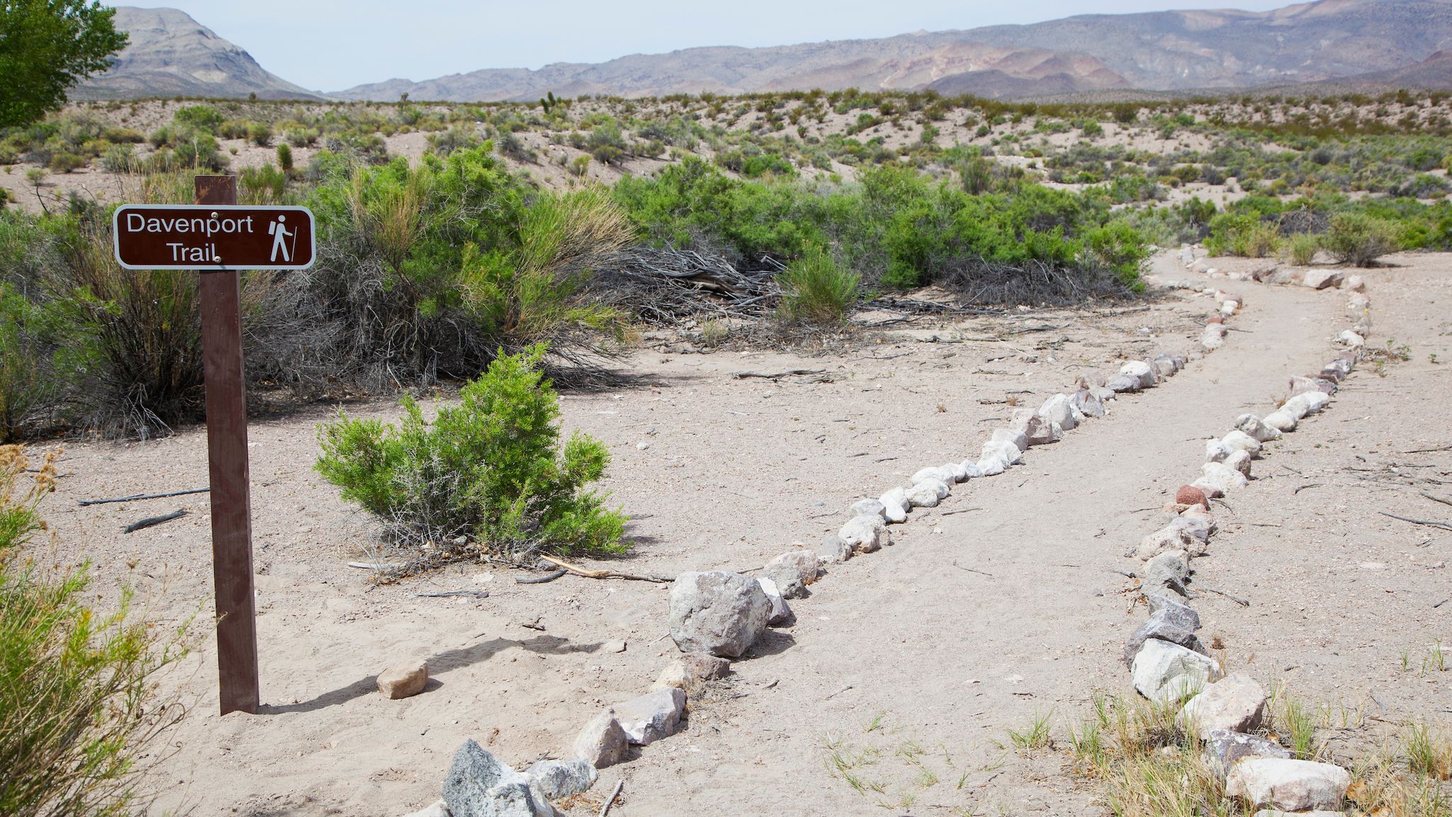 Home | Nevada Silver Trials