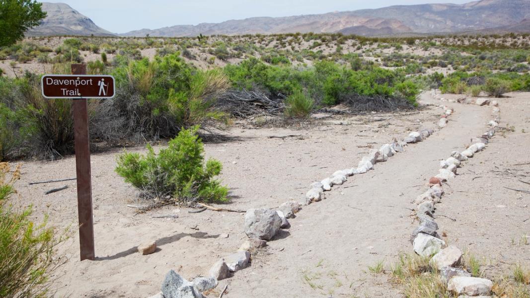 Home | Nevada Silver Trials