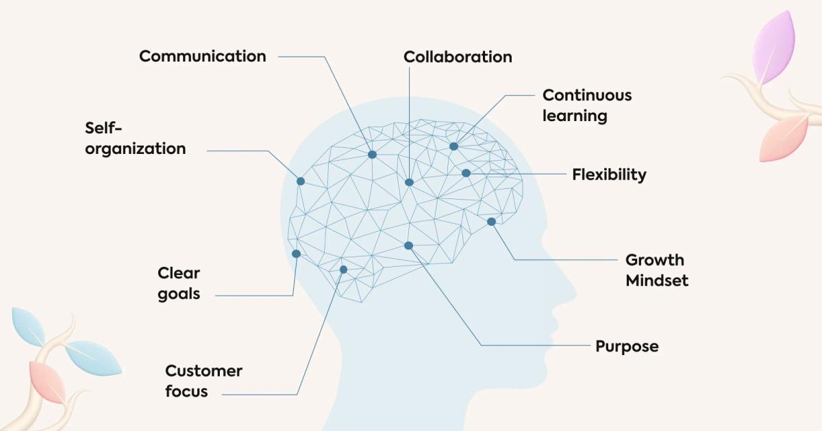 Agile Mindset: The 5 Steps to an Agile Organization