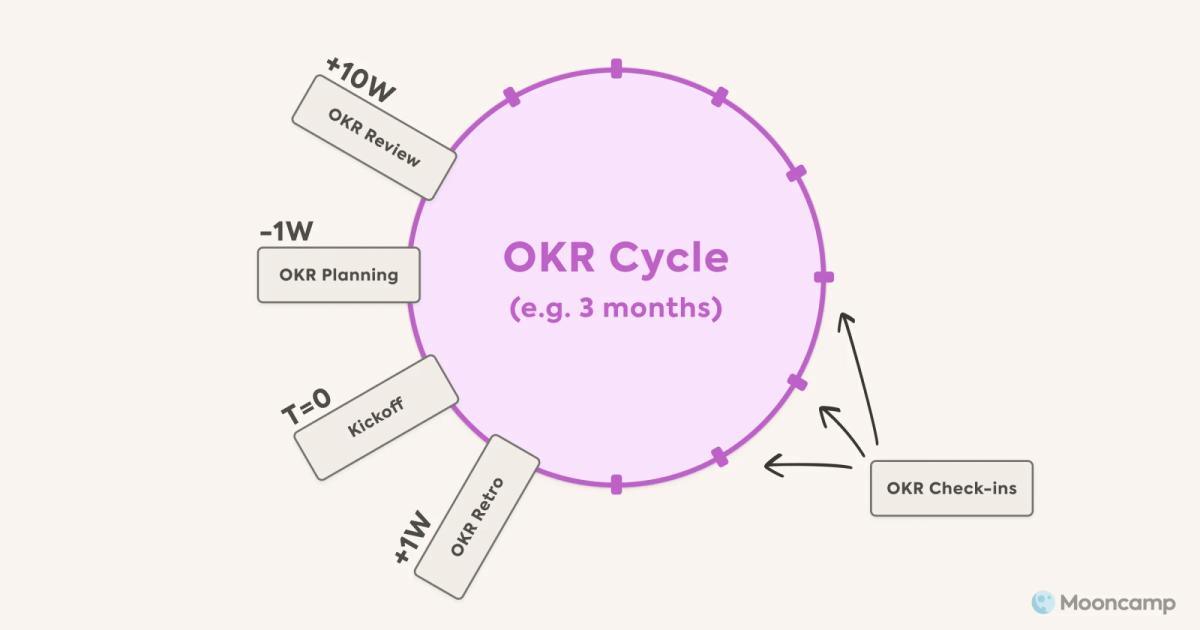The OKR Cycle [Guide + Best Practices]