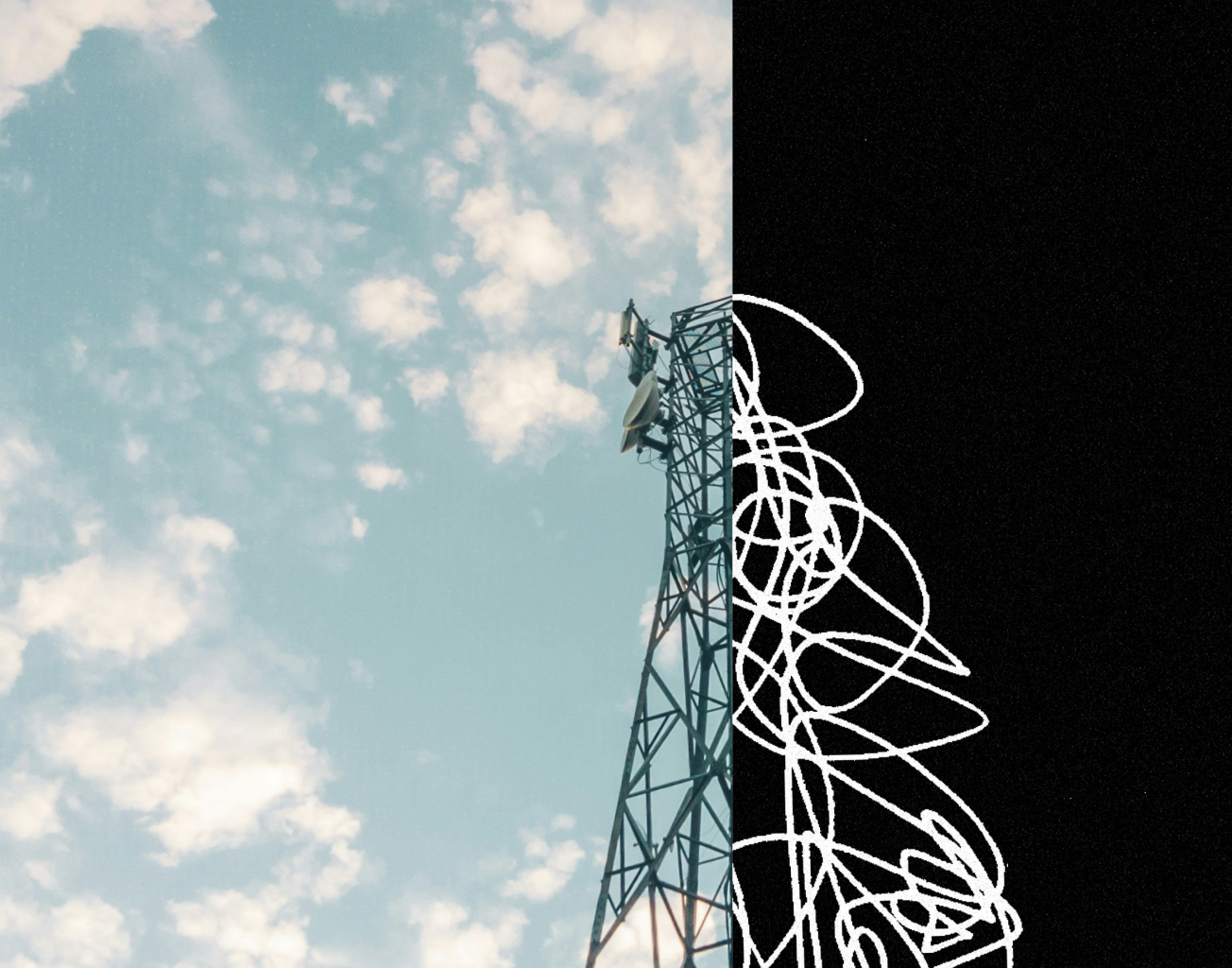 The Cape Network - Cape