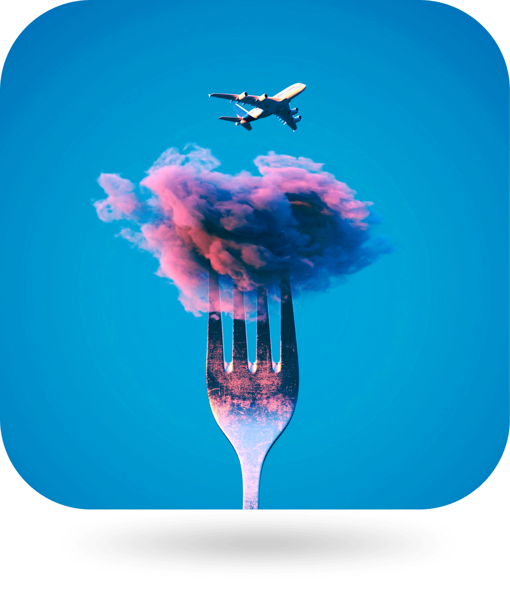Airline Caterer | In Flight Catering Services | Air Fayre