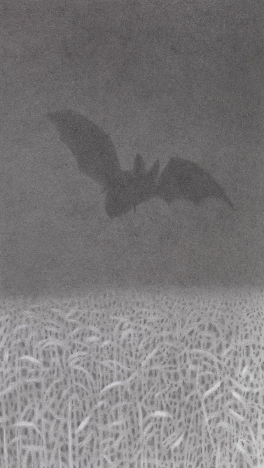 Maureen Paley – James Pyman