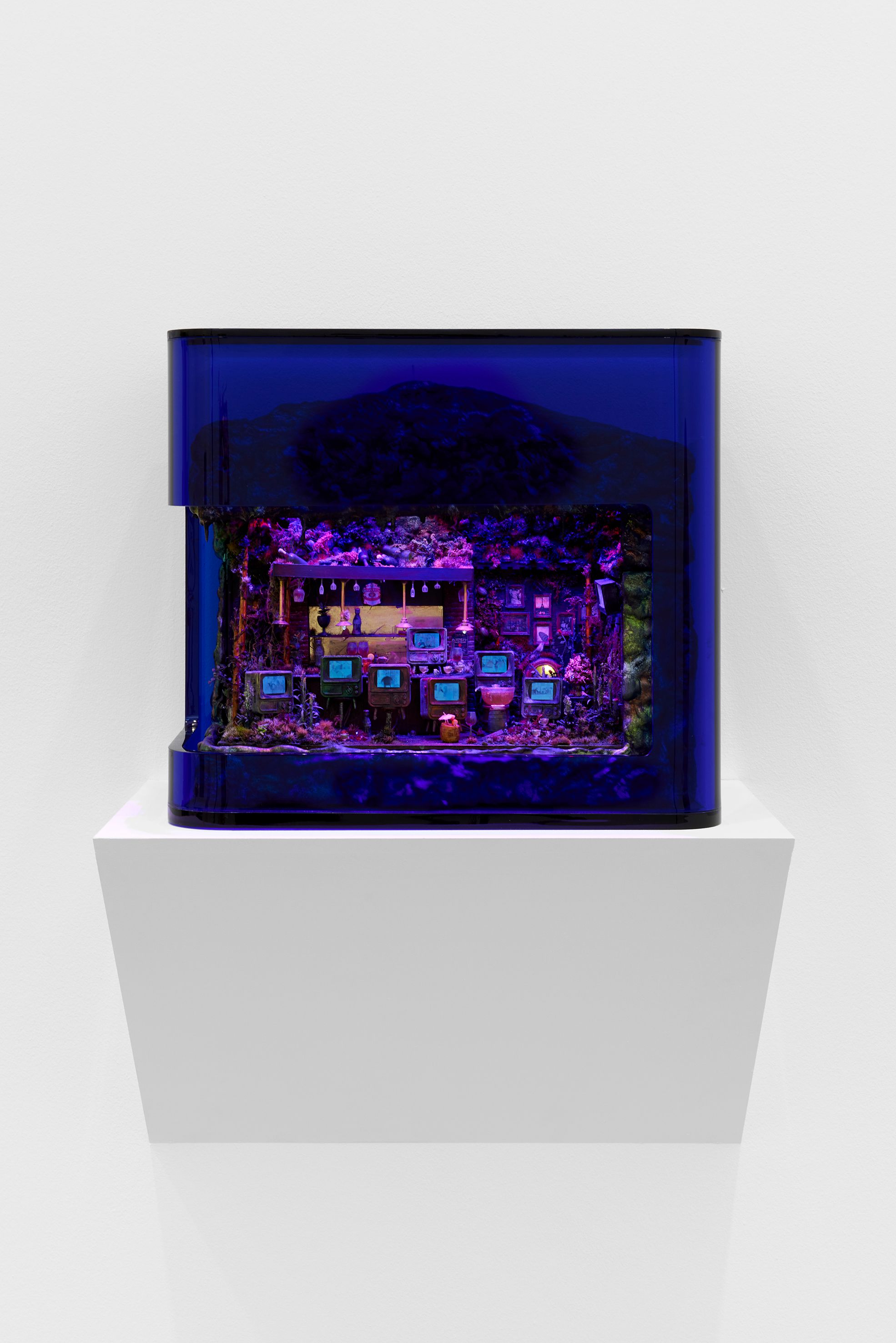 Maureen Paley – Max Hooper Schneider