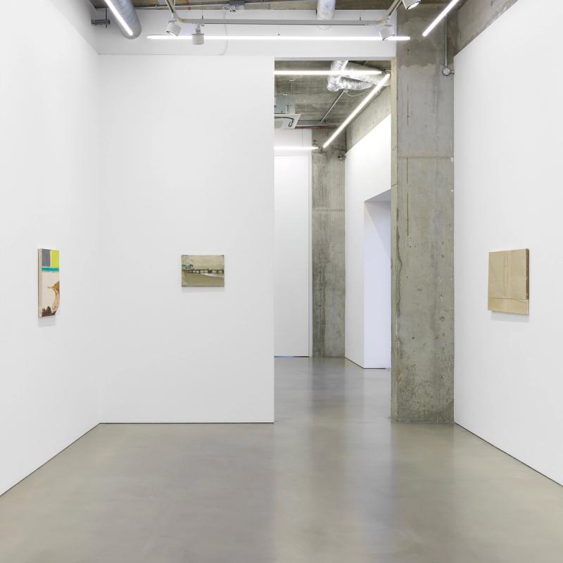 Maureen Paley – Merlin James