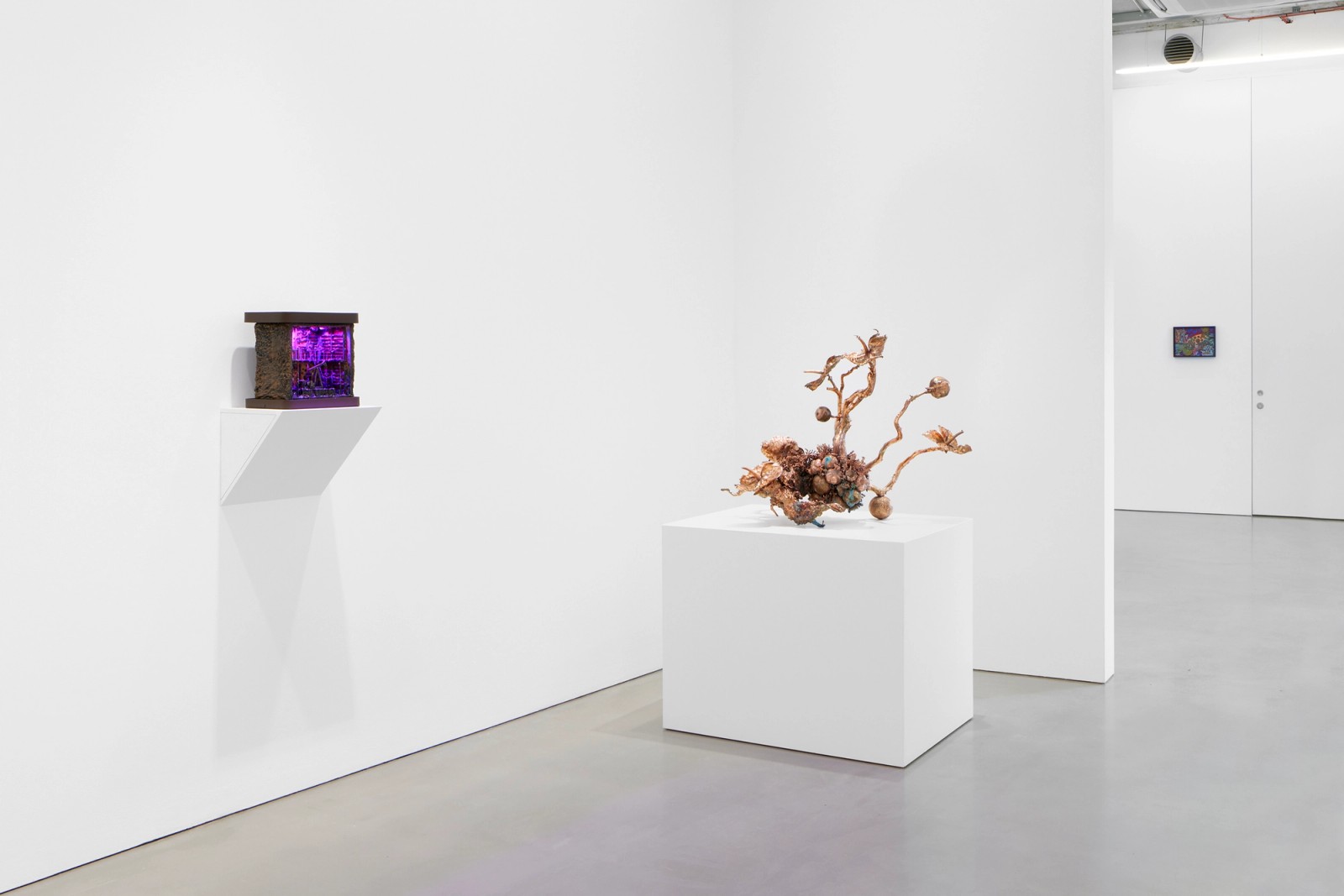 Maureen Paley – Max Hooper Schneider: Twilight at the Earth's Crust