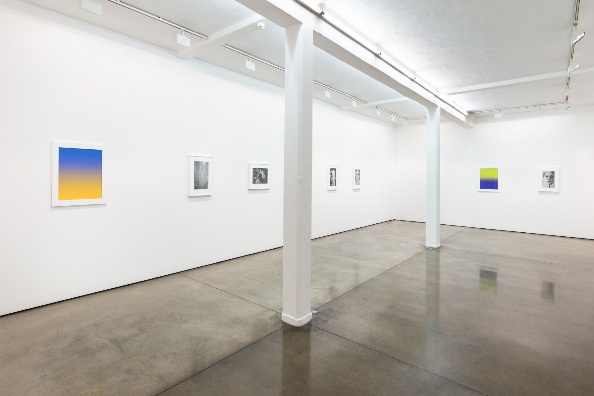 Maureen Paley – James Welling: Planograph