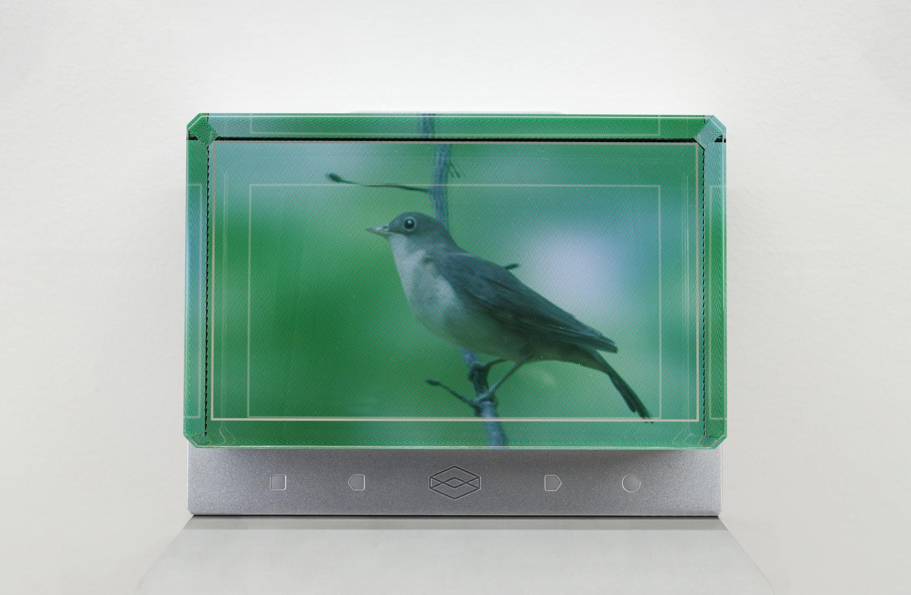 Maureen Paley – Exhibitions