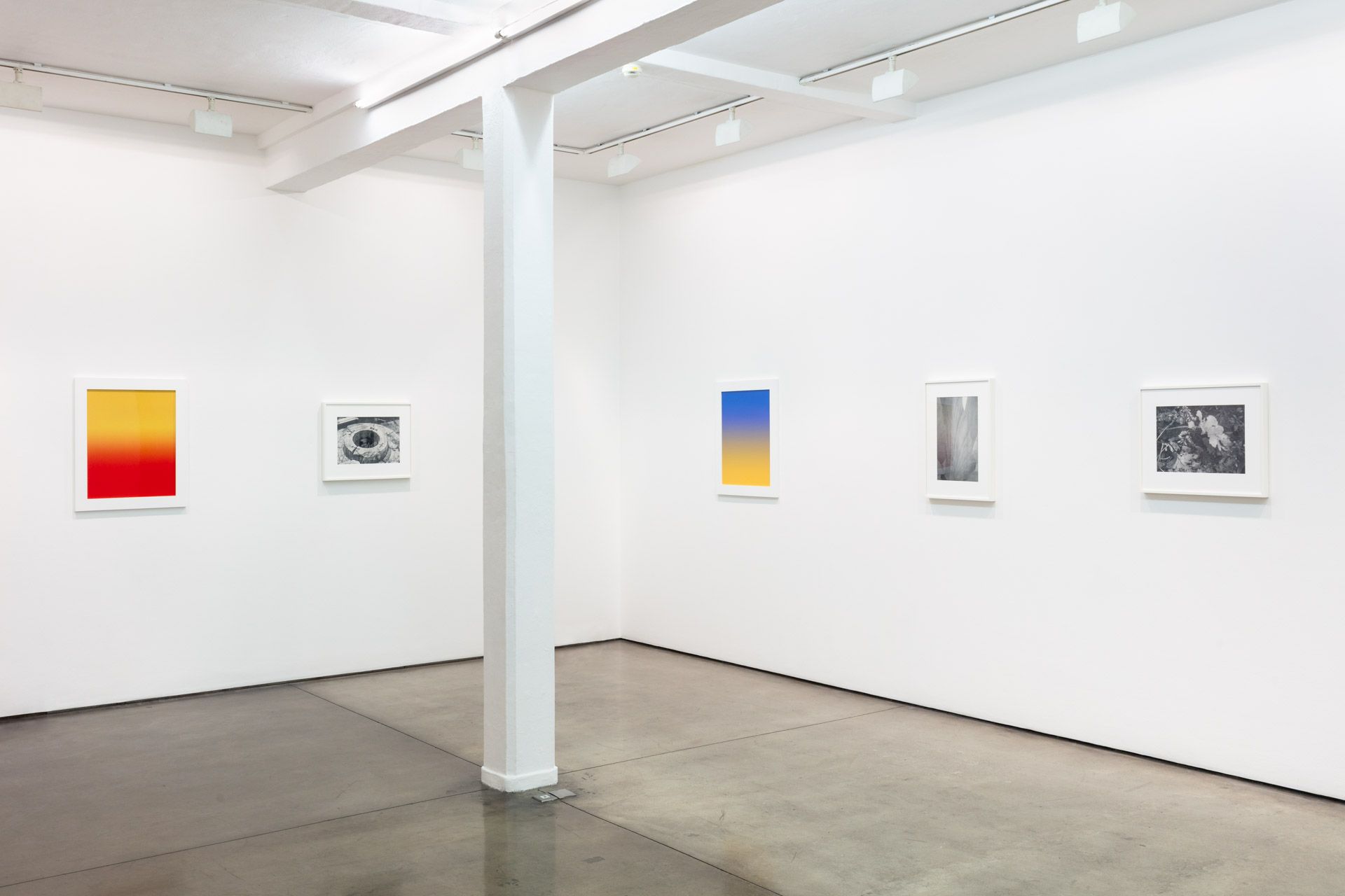 Maureen Paley – James Welling: Planograph