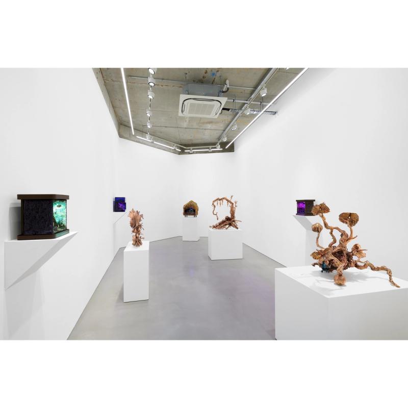 Maureen Paley – Max Hooper Schneider: Twilight at the Earth's Crust