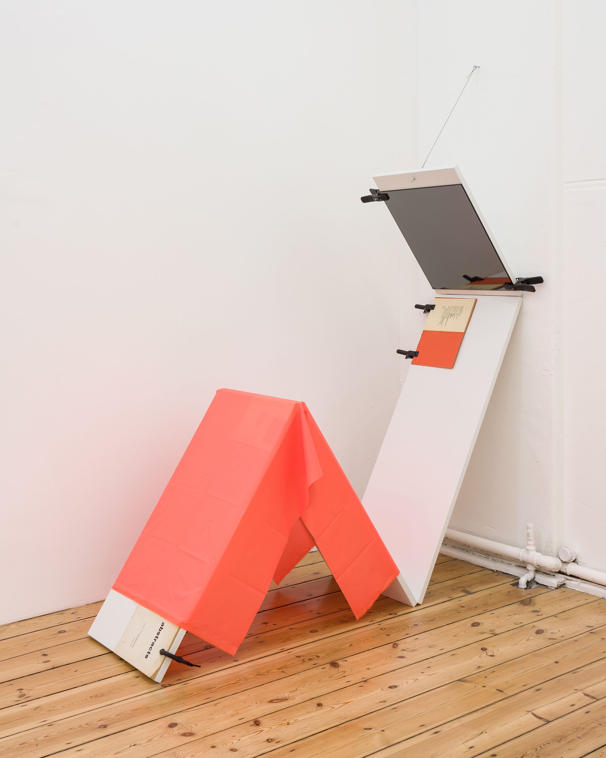 Maureen Paley – Tom Burr