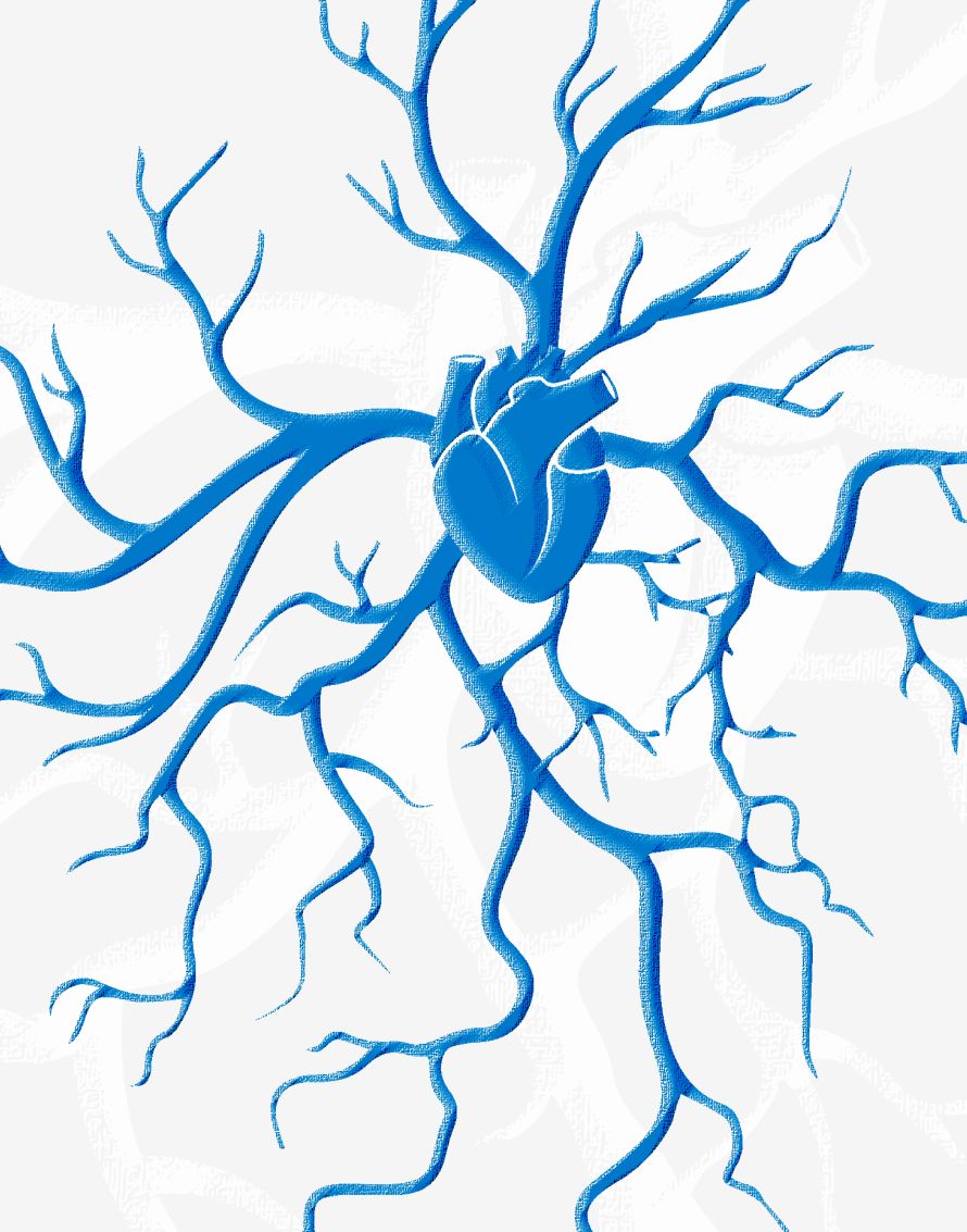 From Tree of Life to Web of Life — The Origin of Life Complexity ...