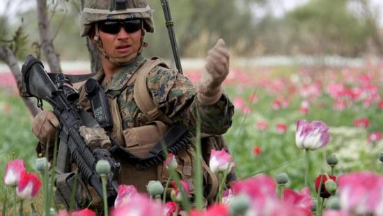 Afghanistan's Path: Narco State or Global Stability?