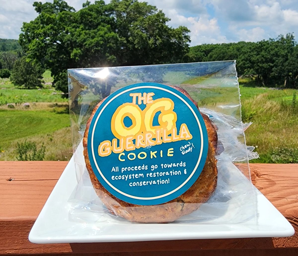 Madison’s Iconic Guerrilla Cookie Returns - City Cast Madison
