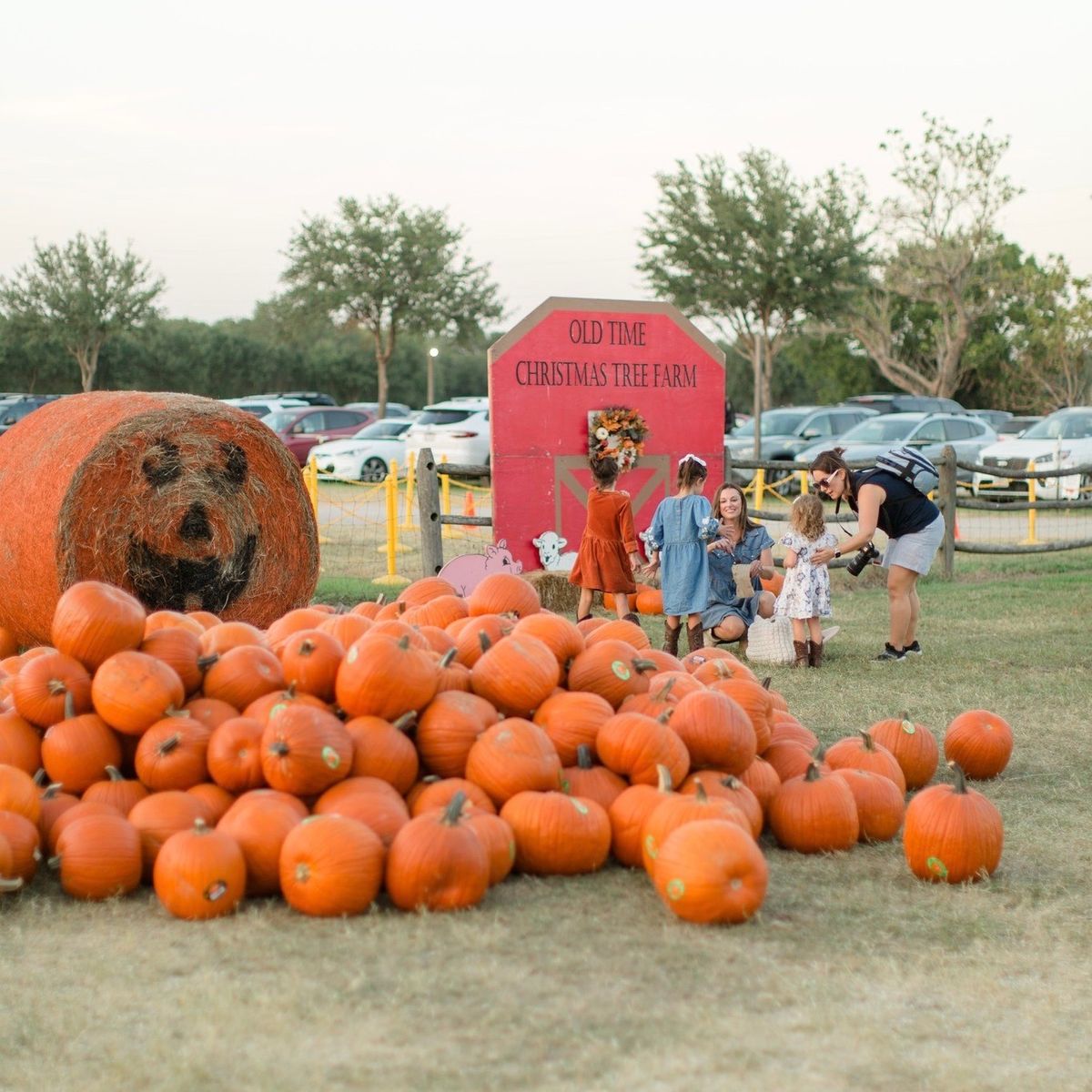 The Best Fall Day Trips From Houston City Cast Houston