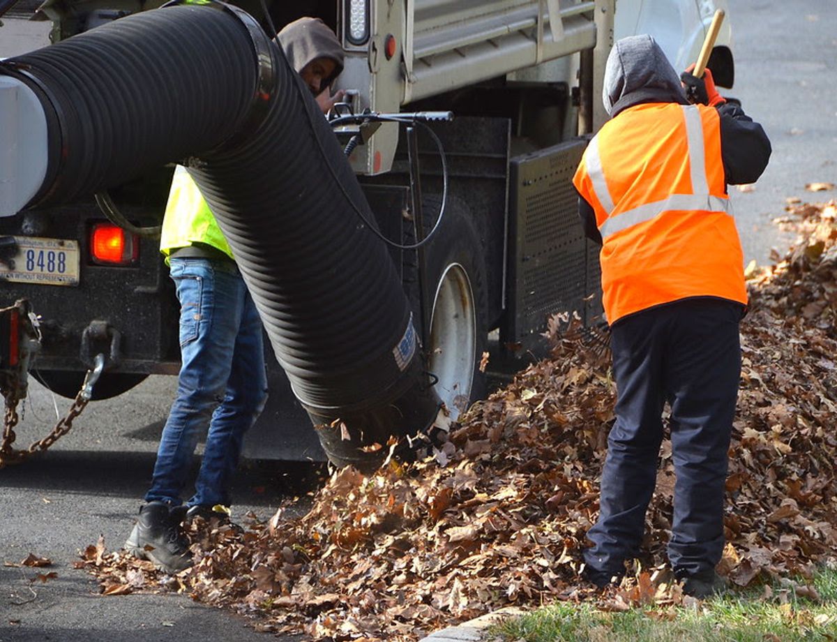 DC's Improved Leaf Collection Protocol - City Cast DC