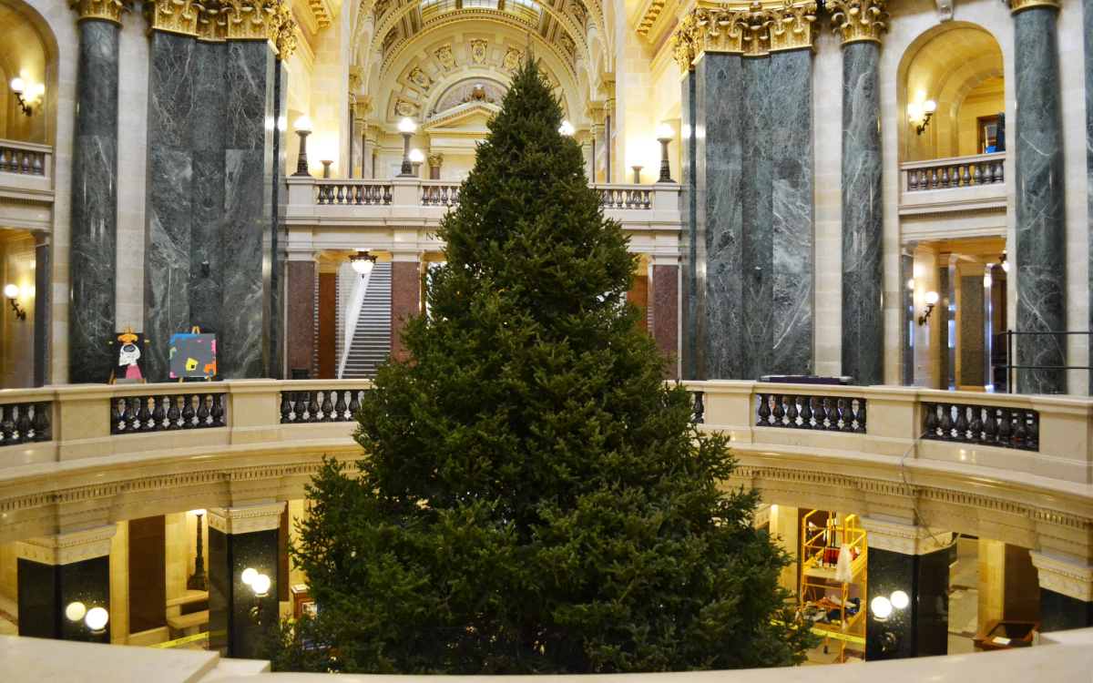 Meet the Wisconsin Capitol Holiday Tree - City Cast Madison