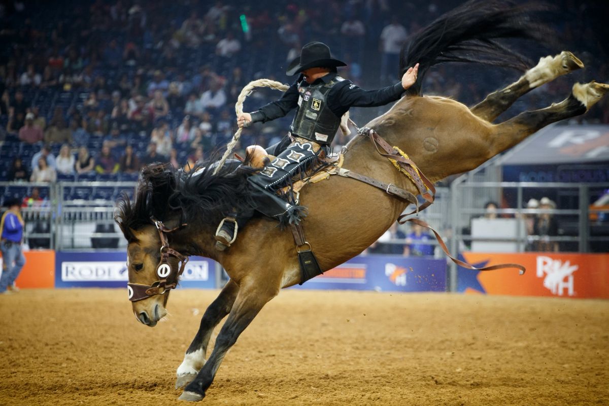 Take Our Houston Rodeo Trivia 2025 - City Cast Houston