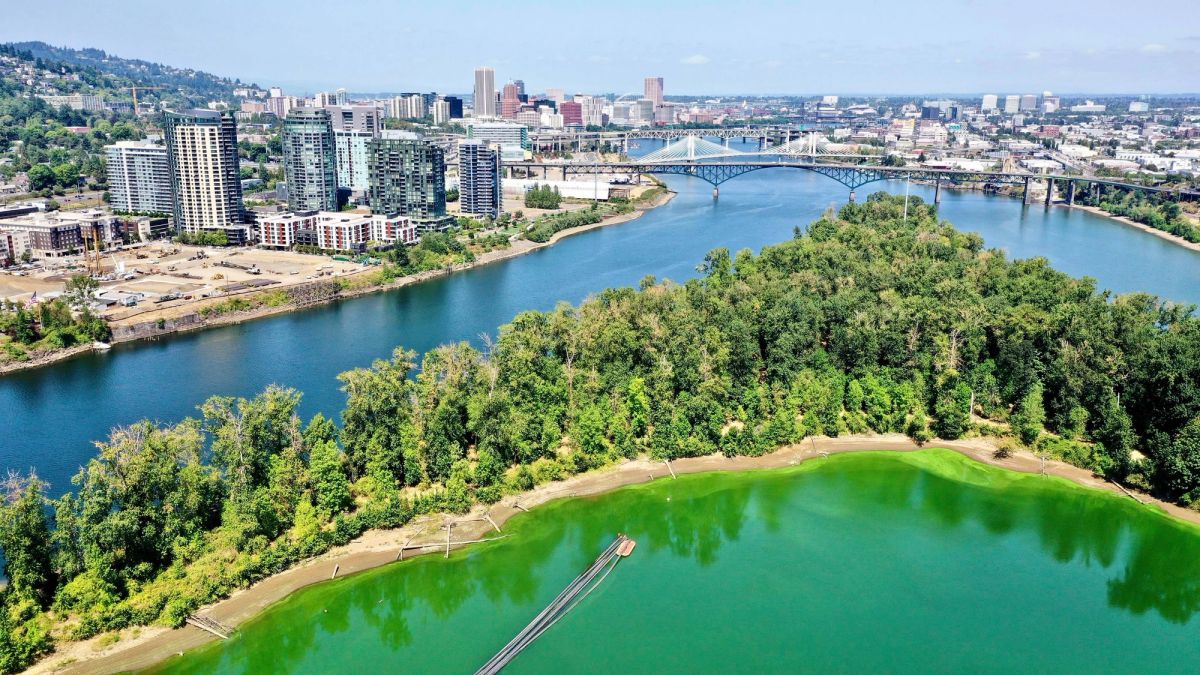 Why the Willamette River Gets Toxic Algae in Portland, Orego - City ...
