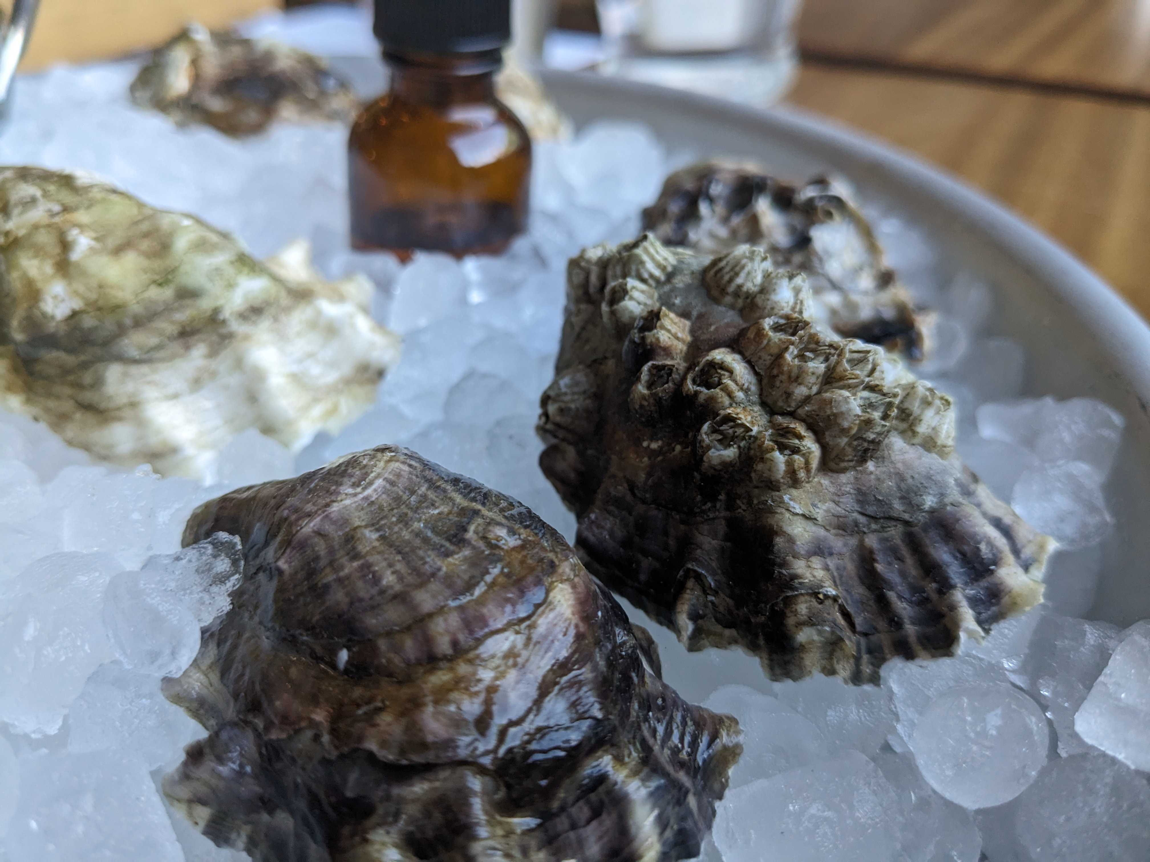 An opening date for the Ritz-Carlton's Flock Food Hall in Portland ...