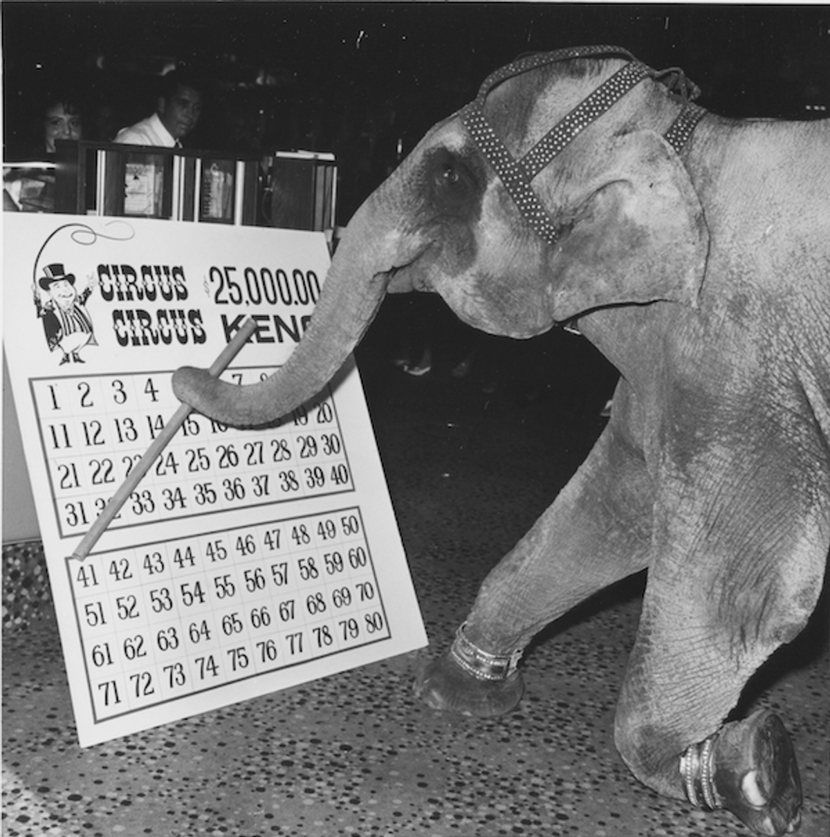 54 Years Ago the High-Profile Circus Circus Opened Up - City Cast Las Vegas