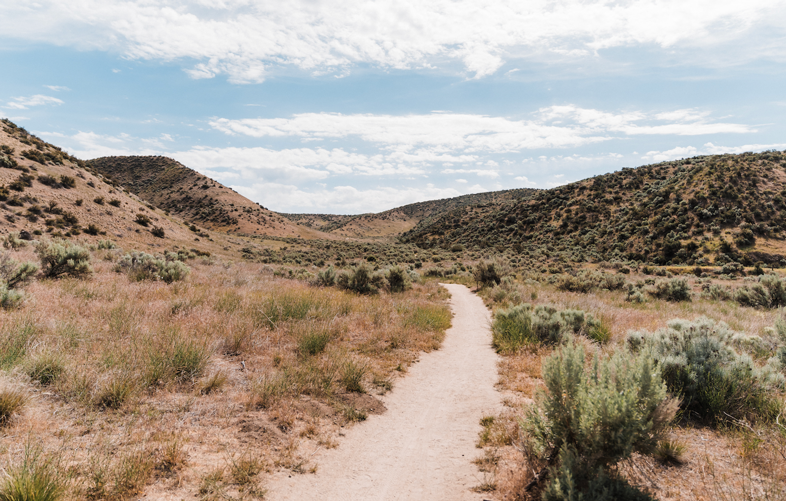 How to Help Unhoused Boiseans in the Heat - City Cast Boise