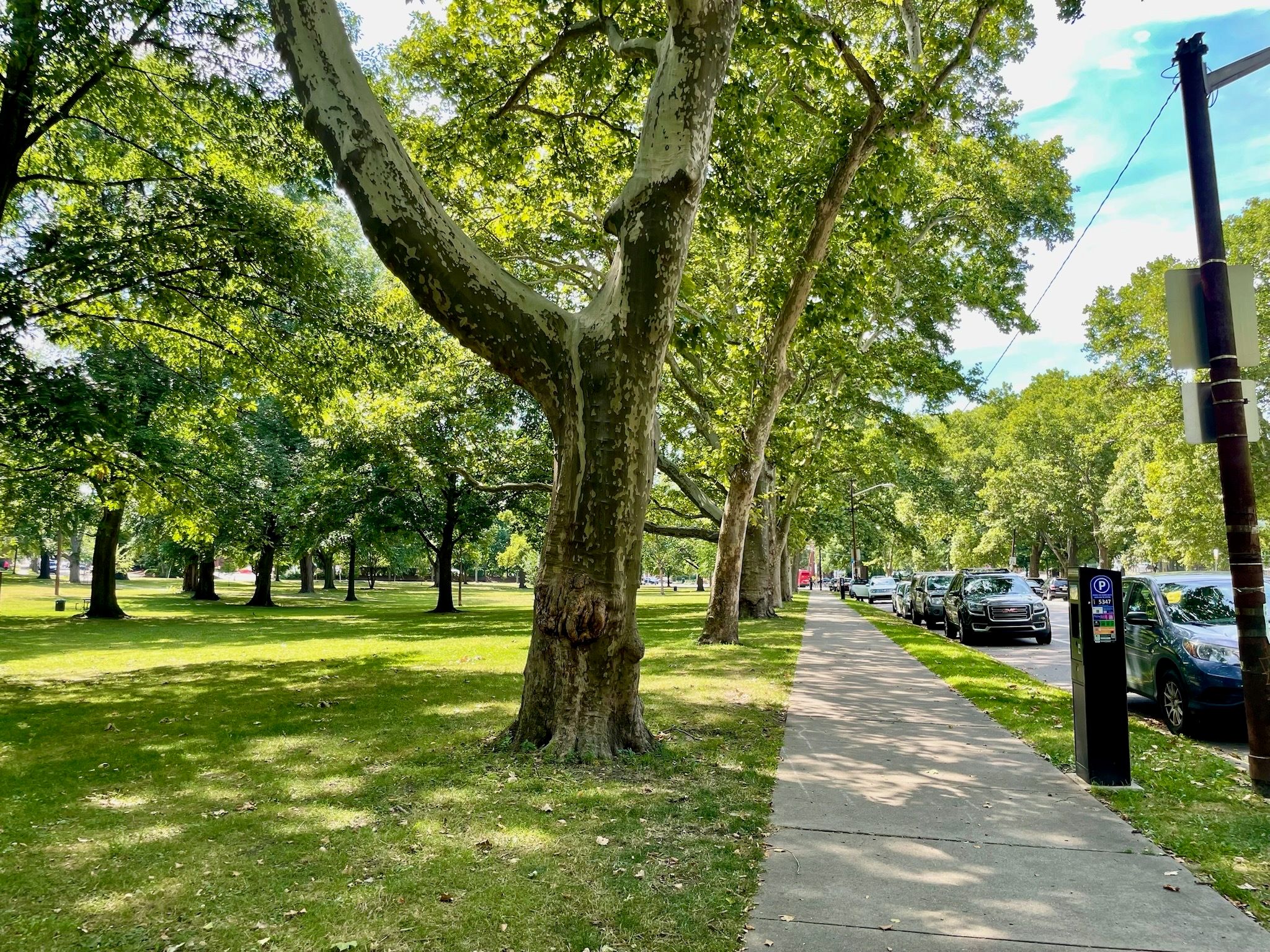 What To Do in Regent Square in Pittsburgh - City Cast Pittsburgh