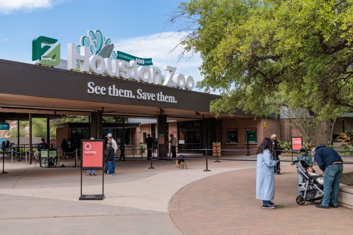 The History of the Houston Zoo - City Cast Houston